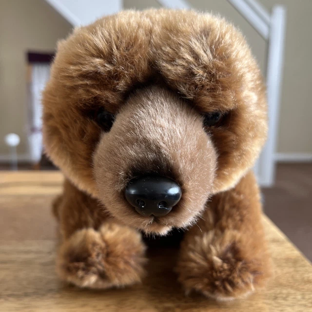 OFFICIAL DAVID ATTENBOROUGH Bbc Planet Earth Grizzly Bear 12" Plush ...