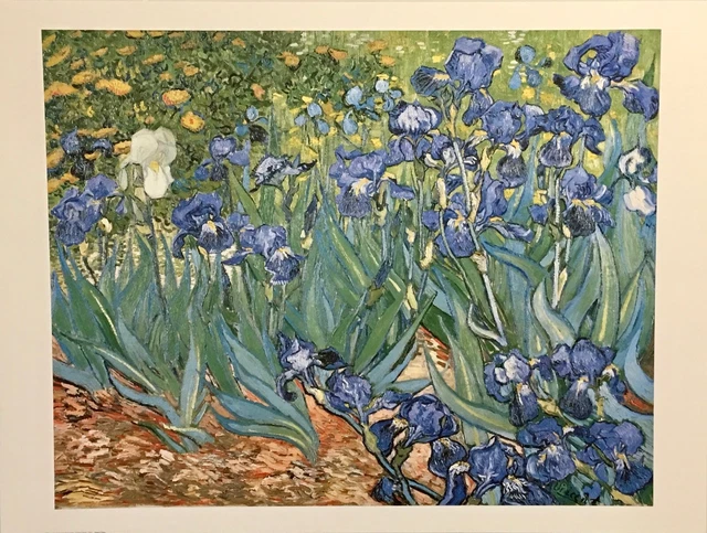VINCENT VAN GOGH - Poster - Les iris EUR 35,00 - PicClick FR