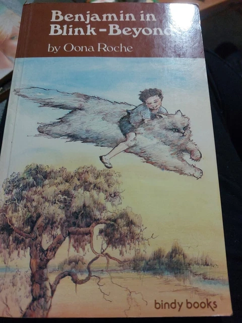 BENJAMIN IN BLINK-BEYOND by Oona Roche AUSTRALIAN children's book ...