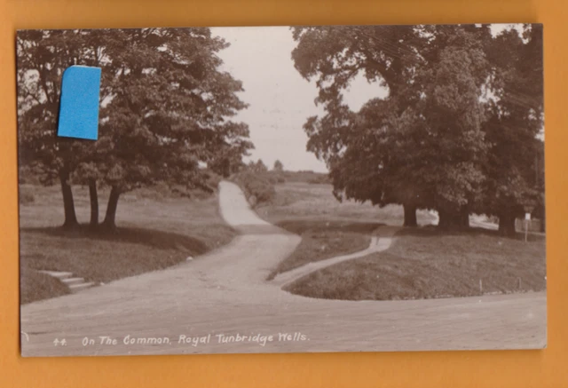 KENT- ROYAL TUNBRIDGE Wells- On the Common. H. Camburn Postcard £2.99 ...