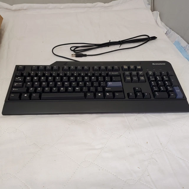 CLAVIER D'ORDINATEUR FILAIRE Lenovo USB 41A5289 modèle KU-0225 EUR 7,78 ...