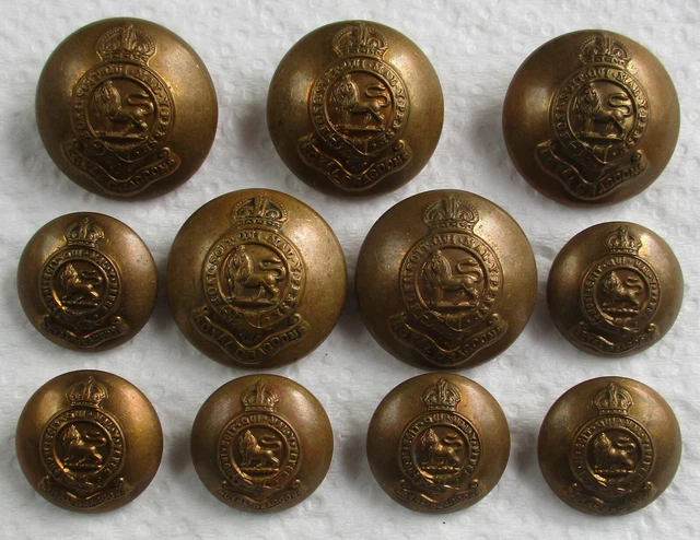 SET OF 10X British Army:"1st ROYAL DRAGOONS BRASS BUTTONS" (24mm-18mm ...