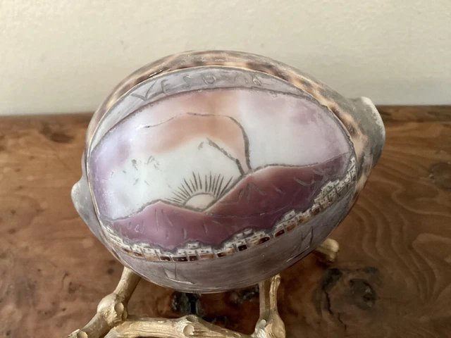 ANTIQUE VINTAGE COWRIE Cameo Shell Hand Carved Mount Vesuvius Souvenir ...