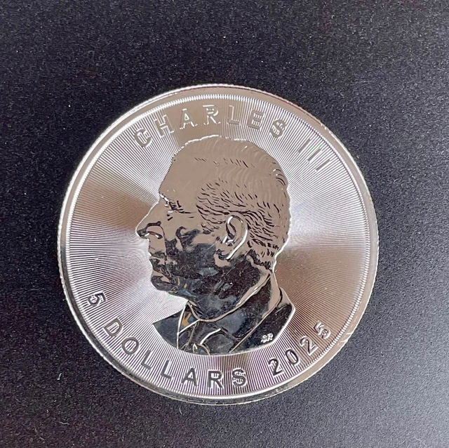 2025 CANADA $5 1oz Silver Coin -.9999 Fine Silver $3.16 - PicClick CA