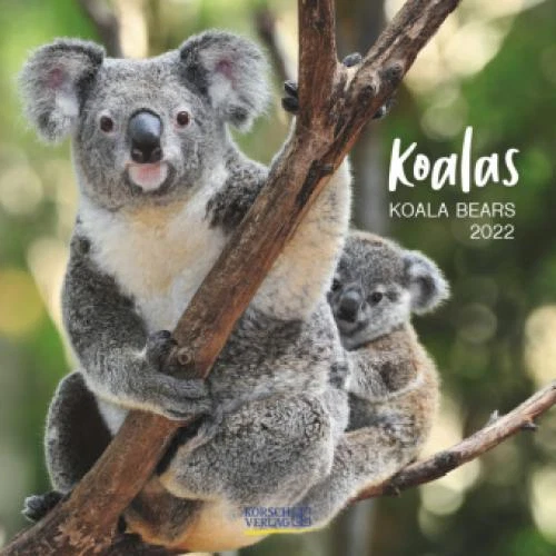 KOALAS 2022 BROSCHÜRENKALENDER mit Ferienterminen. Format: 30 x 30 cm 6314 EUR 6,95 - PicClick FR