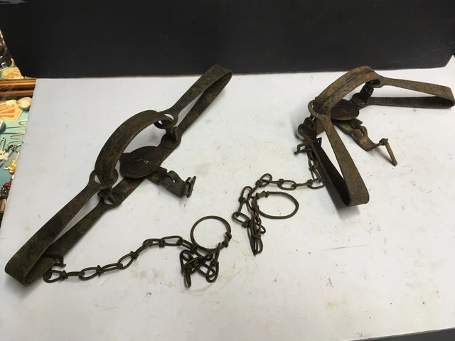 VINTAGE ONEIDA VICTOR Victor No 3 Traps Lot Of 2 Traps Canada long ...