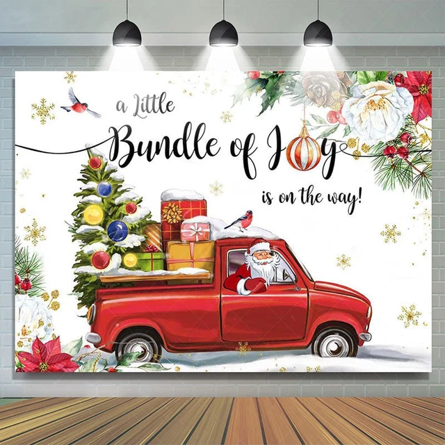 BUNDLE OF JOY Christmas Santa Baby Shower Backdrop $36.09 - PicClick AU