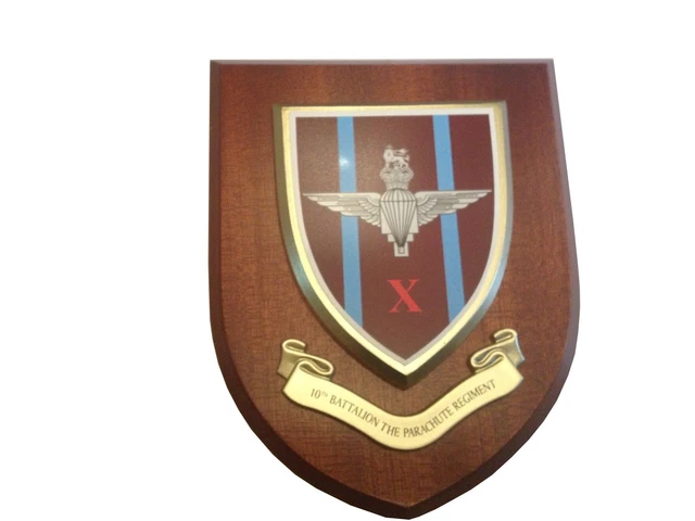 10TH PARACHUTE REGIMENT Military Shield Wall Plaque EUR 31,34 - PicClick IT