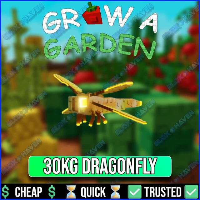 [🟢] GROW A Garden | 🔥30KG Dragonfly🔥 |🛒Cheap & Quick Delivery £119.99 ...