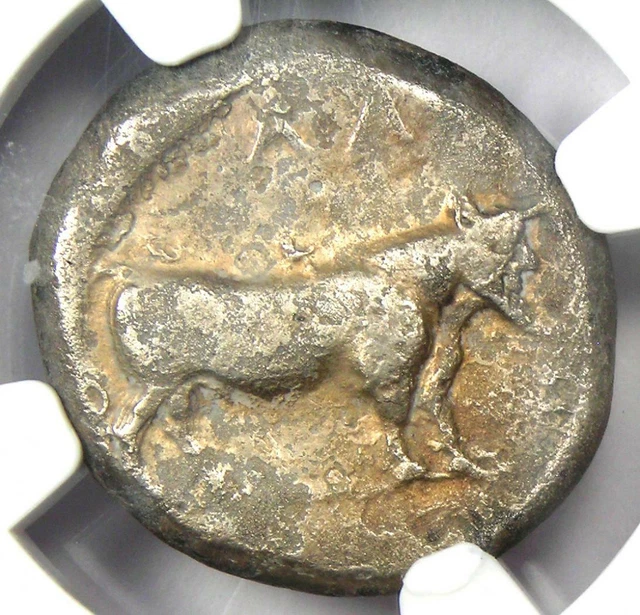 GREEK LUCANIA LAUS AR Stater Man-Headed Bull Coin 480-460 BC - NGC ...
