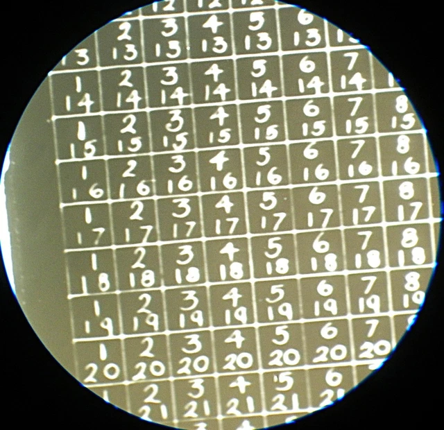 VINTAGE MICROSCOPE Slide. Specimen Grid of 50 x 50 Rows and Columns. £5 ...