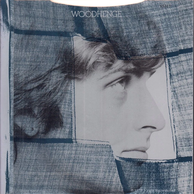 MIKE OLDFIELD BLUE Peter 7" vinyl UK Virgin 1979 pic sleeve VS317 EUR 5 ...