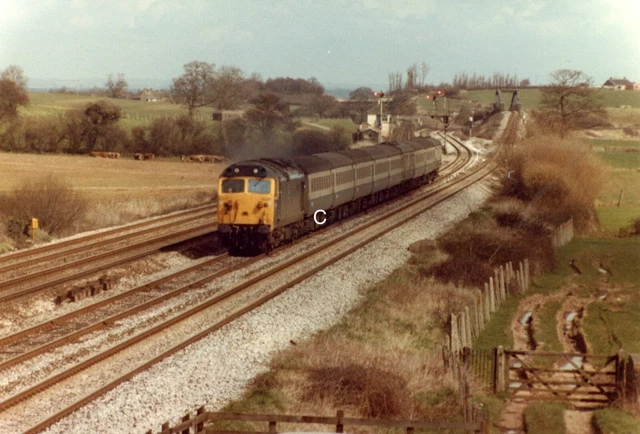BRITISH RAILWAY B.R Photograph Class 50 - 50025 At Cogload Junction 22 ...
