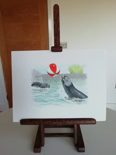 ORIGINAL WATERCOLOUR CHILDREN'S BOOK ILLUSTRATION - SEA LIONS & BALL -8 ...