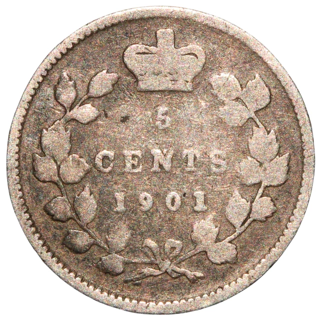 1901 CANADA VICTORIA 5 Cents Coin – Silver £3.00 - PicClick UK