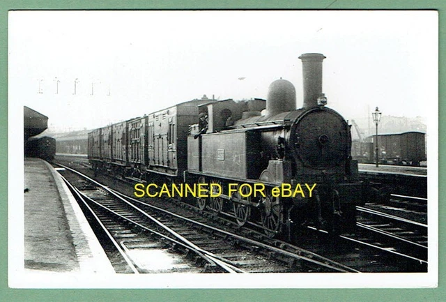 RAILWAY PHOTO LNWR "Coal Tank" 062T No 2476 with horse boxes at East ...