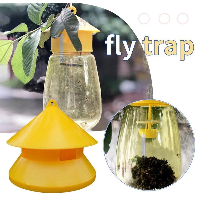 FRUIT FLY TRAP Killer Plastic Yellow Drosophila Trap Fly Catcher Traps ...