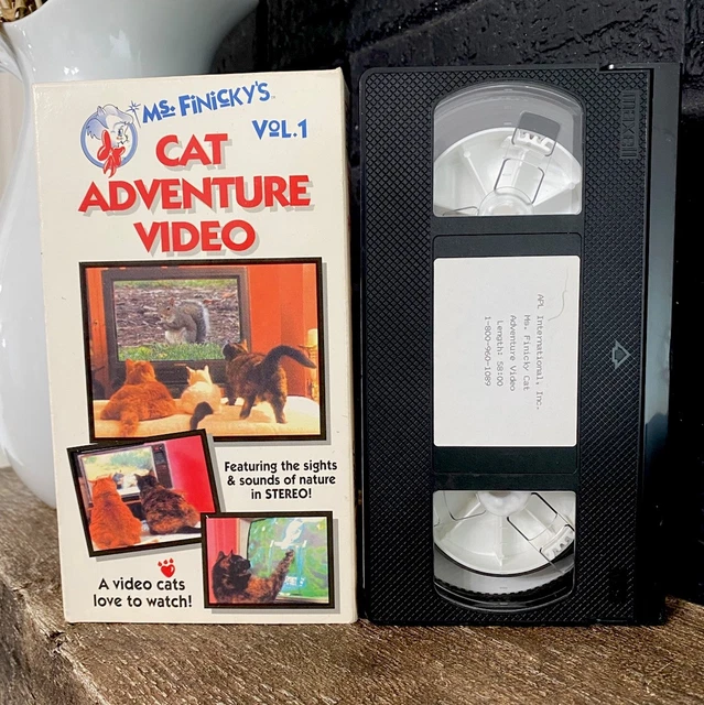 RARE CAT VIDEO On VHS 1994 OOP HTF Vintage Collectible Excellent ...