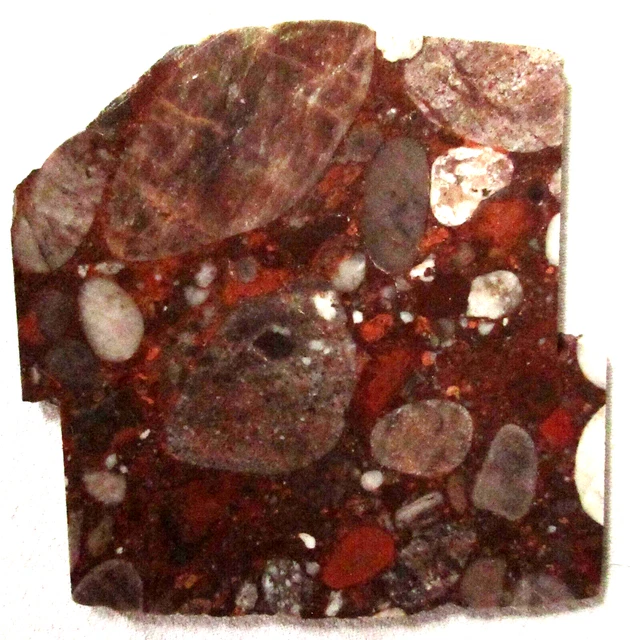 PUDDING STONE SLAB - Red - White - 338 Grams - Arizona - Puddingstone ...