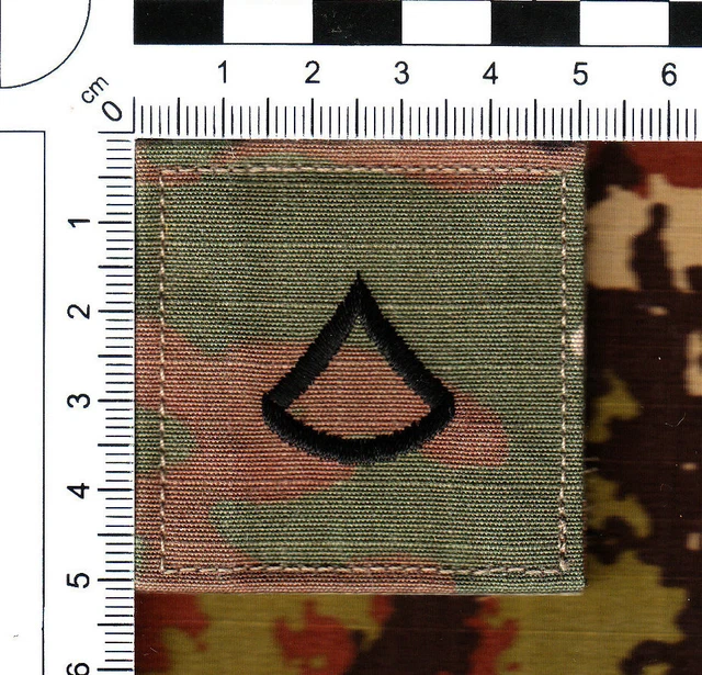 US ARMY MULTICAM / Scorpion OCP Rank- PRIVATE FIRST CLASS (PFC) with ...