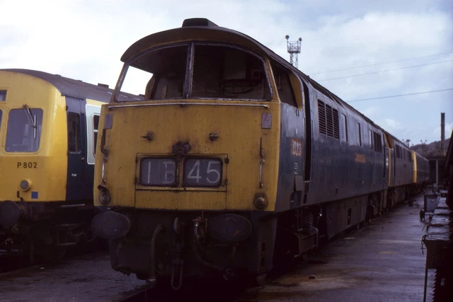 6X4 INCH PHOTO of Class 52 diesel Hydraulic locomotive number D1073 at ...