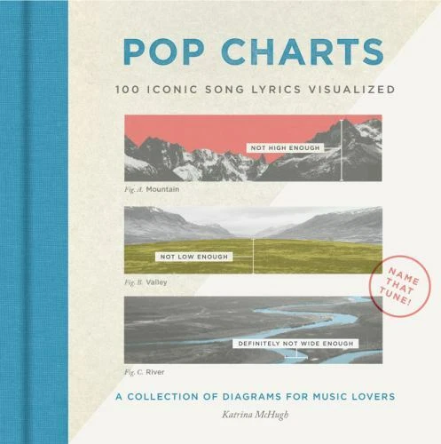 POP CHARTS: 100 Iconic Song Lyrics Visualized by McHugh, Katrina £4.30 ...