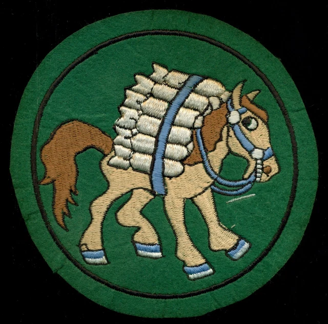 566TH BOMB SQUADRON WW2 USAAF USAF Air Force Felt Remake Patch U-1 £14. ...