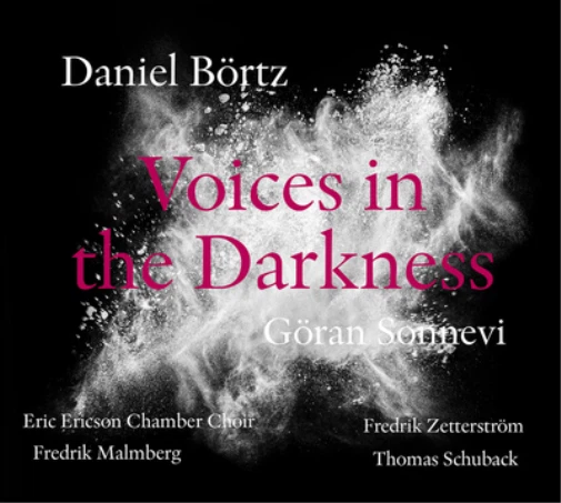 DANIEL BORTZ DANIEL Börtz: Voices in the Darkness (CD) Album EUR 25,35 ...