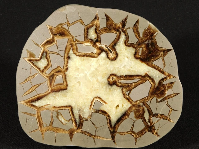 BIG! POLISHED FLUORESCENT SEPTARIAN Nodule Slab with Stand From Utah ...