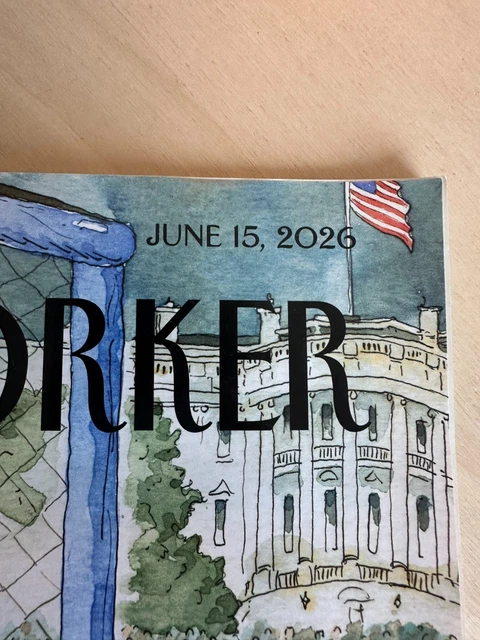 THE NEW YORKER Magazine Issue Longform Articles Collector's Item June ...