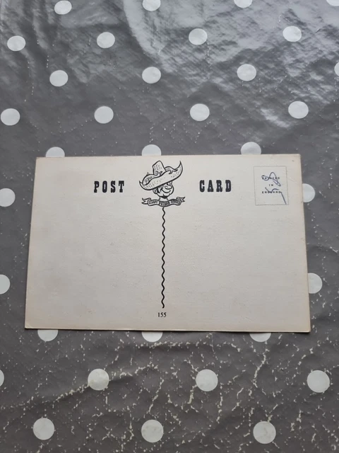 VINTAGE SAUCY SEASIDE Comic Postcard Sunny Pedro Series No 155 By Pedro ...