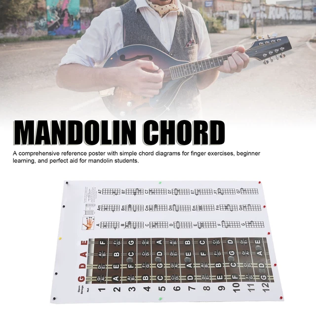 MANDOLIN CHORD CHART Poster HD Color Prints Mandolin Fretboard Notes ...