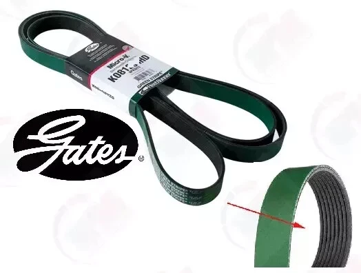 K081213HD GATES SERPENTINE Belt for E350 Van E450 E550 Econoline F250 ...