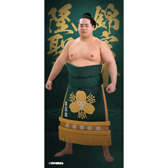 PRE-ORDER SUMO WRESTLER Rikishi NISHIKIFUJI Big Poster 47x100cm, 18 ...