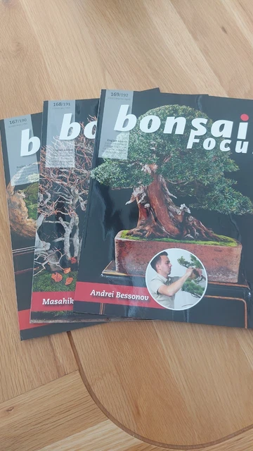 BONSAI FOCUS MAGAZINES X3 Nearly New £8.12 - PicClick UK