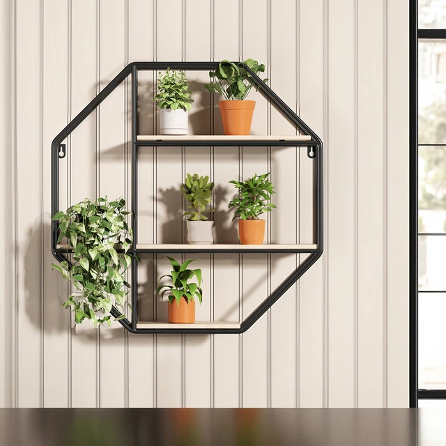 OCTAGON WALL SHELF Floating Geometric Display Rack for Books Plants ...