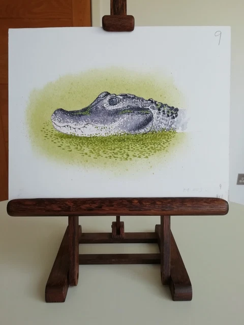 ORIGINAL WATERCOLOUR CHILDREN'S BOOK ILLUSTRATION CROCODILE STUDY - 8.5 ...