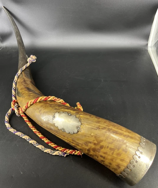 CORNE BOVIDÉ, ZÉBU du 19ème Siècle, Long de 100CM, Plaque Vierge ...