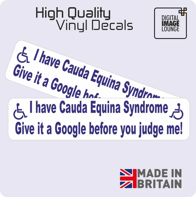 2 X DISABILITY AWARENESS - Cauda Equina Syndrome - CES - DISABLED CAR ...