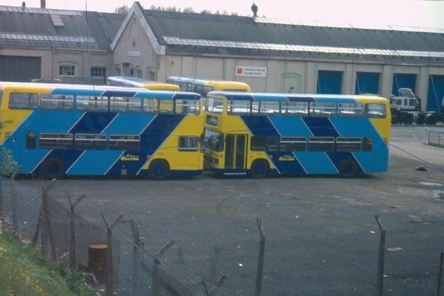 ORIGINAL SOLENT BLUE Line Bus Colour Slide Leyland Olympians 731+732 ...