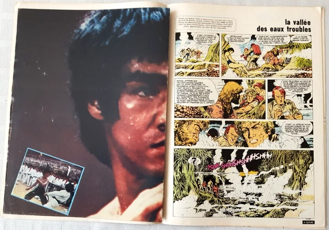 BRUCE LEE MAGAZINE Tintin 1974 Special Cinema Zorro Delon Poster Double Face EUR 20,00 - PicClick FR