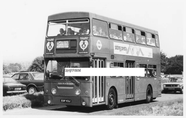 LONDON TRANSPORT BUS Photograph Daimler Fleetline DMS 43 EGP 43J Epsom ...