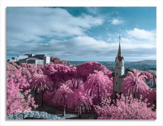 CONVERTED FULL SPECTRUM Infrared IR Panasonic G2 Mirrorless Camera w ...