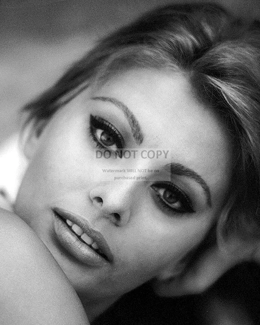 Sophia Loren Legendary Actress Pin Up X Publicity Photo Rt The Best