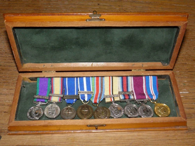 VINTAGE/ANTIQUE MILITARY OFFICERS Miniature Service Medals (9) in ...
