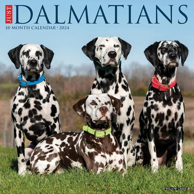 JUSTE DALMATIENS - 2024 Calendrier Mural - Tout Neuf - 33333 EUR 18,95 ... JUSTE DALMATIENS - 2024 Calendrier Mural - Tout Neuf - 33333 EUR 18,95 ...