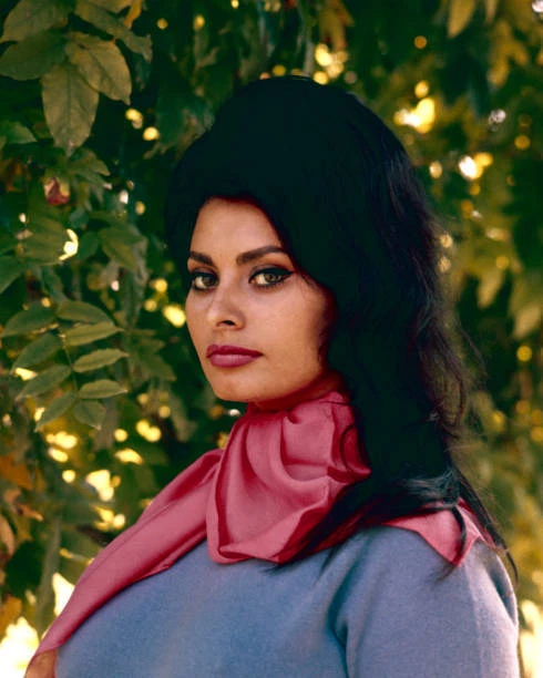 ITALIAN ACTRESS SOPHIA Loren circa 1960 Old Movie Photo $8.50 - PicClick AU