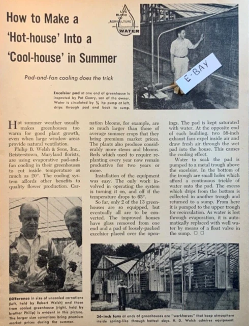 1960 MAGAZINE ARTICLE. Philip Welsh Reisterstown, Maryland. Farmer £9. ...