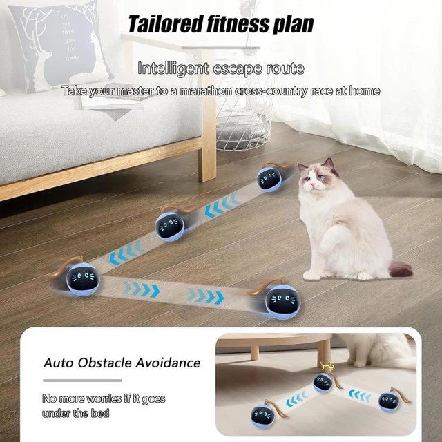 INTERACTIVE PET TOYS Ball, Smart Pet Ball Fast Rolling in Pouch, Motion ...