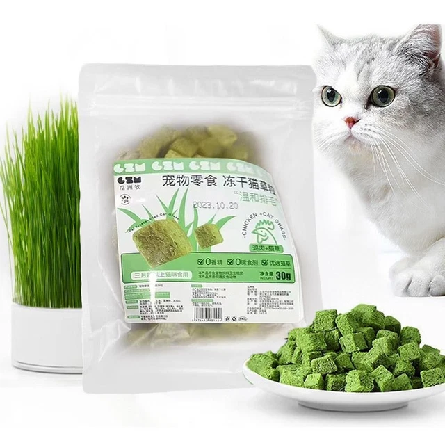 NEW CAT GRASS Snack For Indoor Cats Grass Chew Teeth Cleaner Removal DE ...